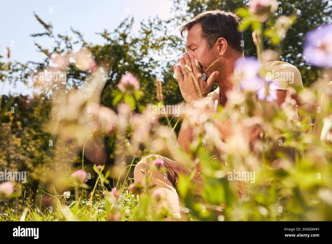 Man with hay fever allergy sits between blooming flowers and blows his ...
