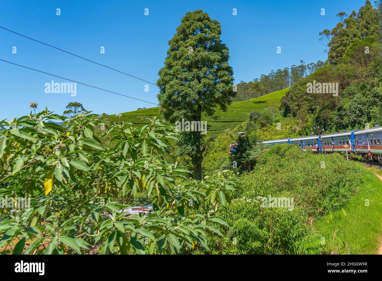ELLA, SRI LANKA - DECEMBER 28.2021: Train ride from Kandy to Ella with ...