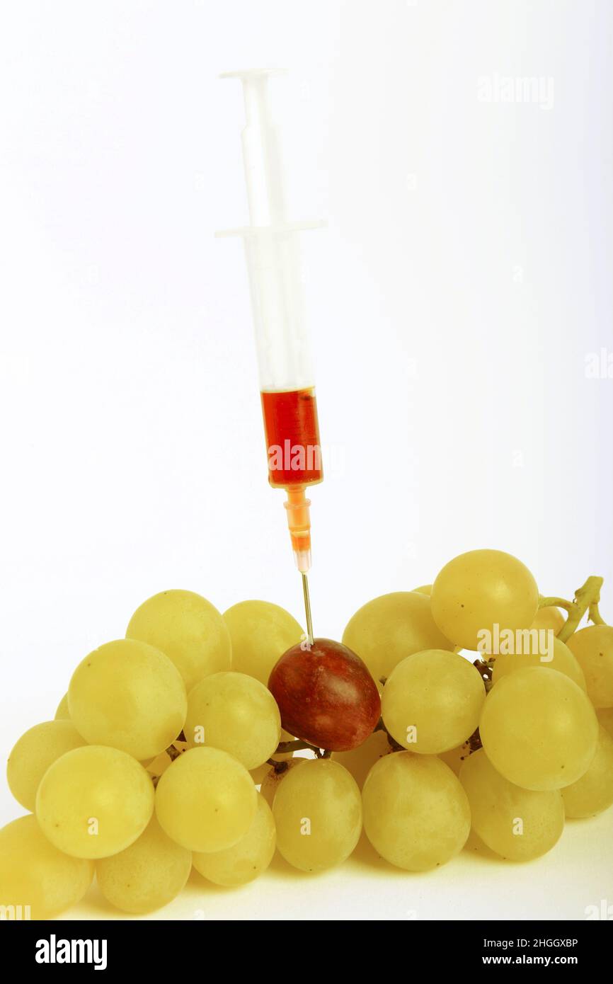 Syringe stuck in red grape among green grapes, gene grapes, symbol ...