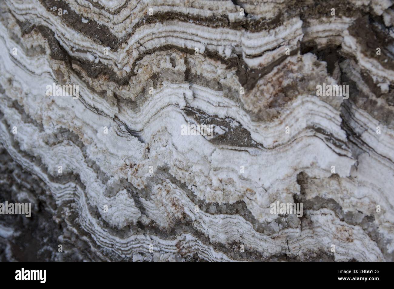 Salt formations at the Dead Sea in Jordan, Middle East. Salt crystals ...