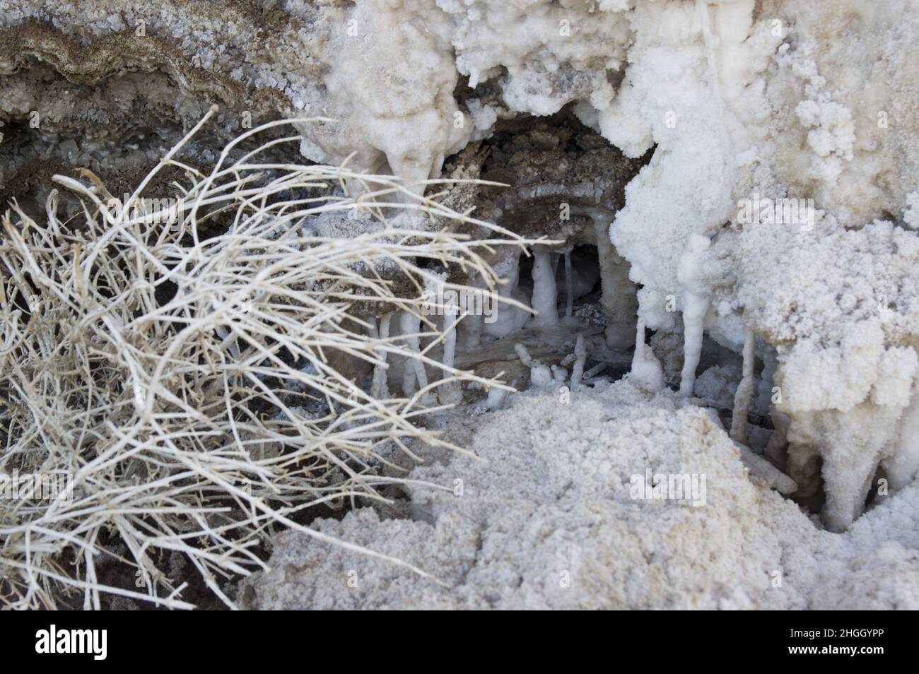 Salt formations at the Dead Sea in Jordan, Middle East. Salt crystals ...