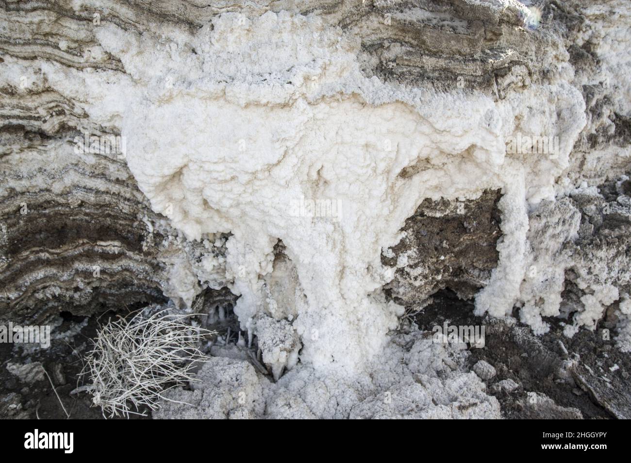 Salt formations at the Dead Sea in Jordan, Middle East. Salt crystals ...