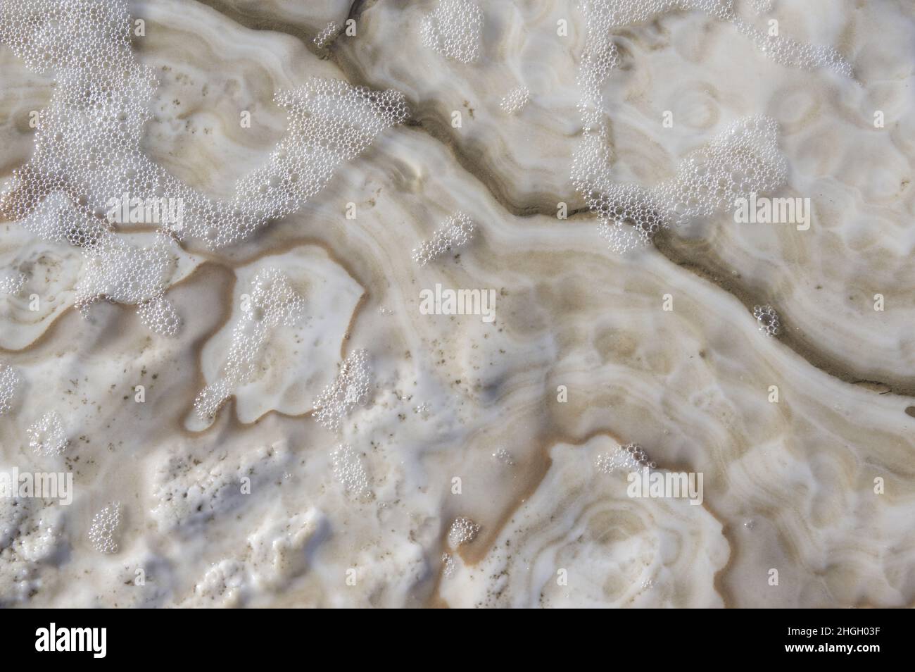 Salt formations at the Dead Sea in Jordan, Middle East. Salt crystals ...