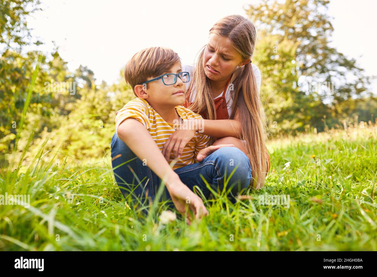 Brother together with crying sister on a meadow in nature in summer ...