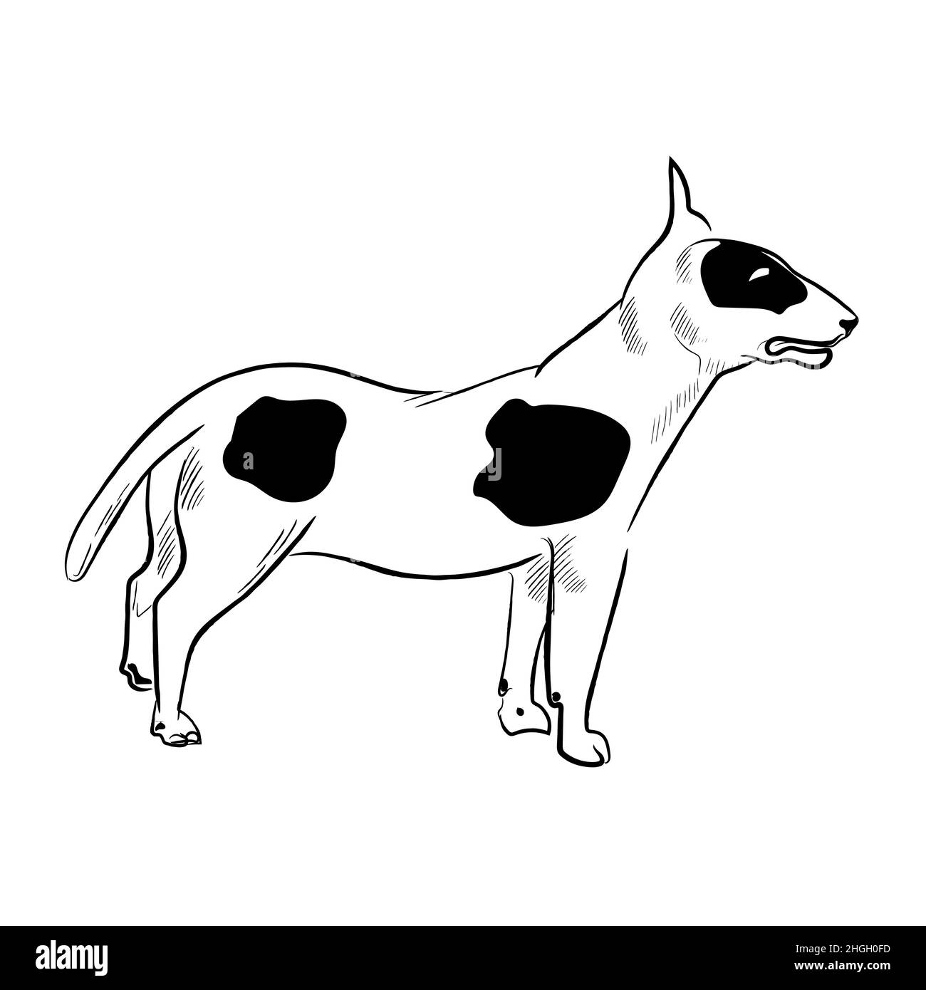 Hand drawn dog breed vector sketch Stock Vector Image & Art - Alamy