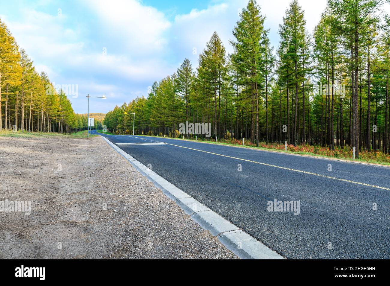 Empty forest road landscape hi-res stock photography and images - Alamy