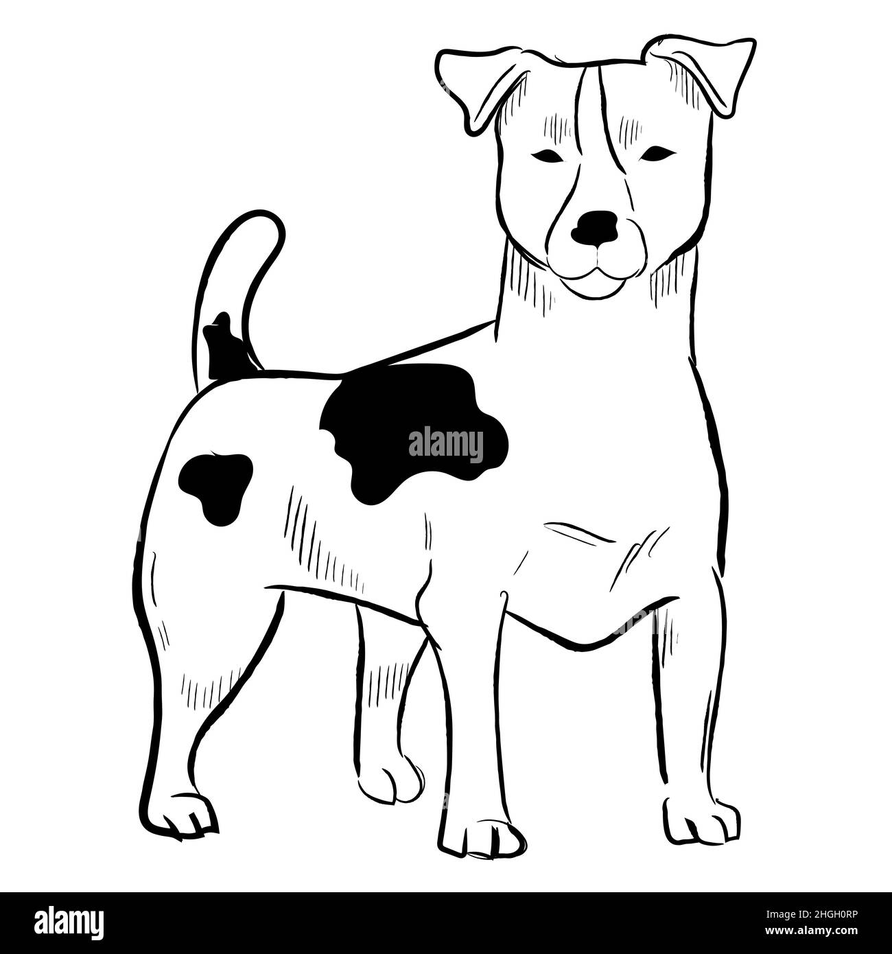 Hand drawn dog breed vector sketch Stock Vector Image & Art - Alamy