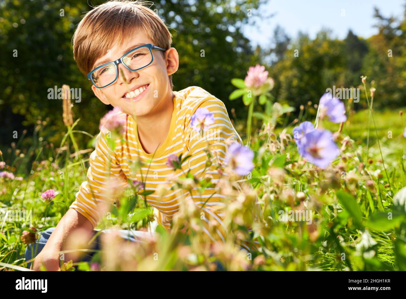 Happy boy sitting smiling in a blooming meadow in the summer sunshine ...