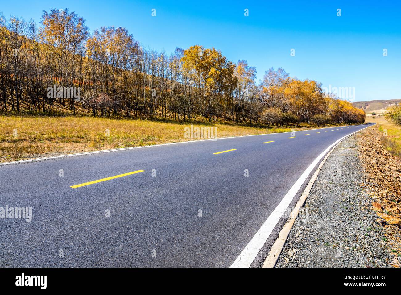 Empty asphalt road and autumn forest landscape.Road and trees ...
