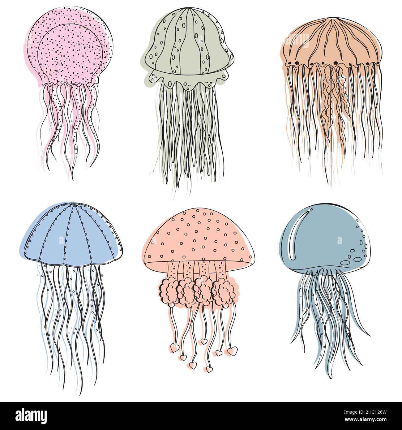 Set of multicolored jellyfish isolated on a white background, color ...
