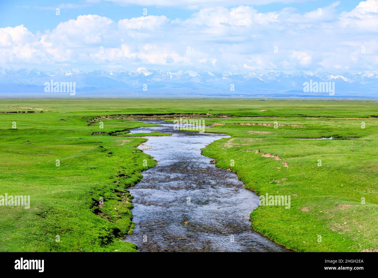 Green grassland and flowing river scenery in Xinjiang,China Stock Photo ...