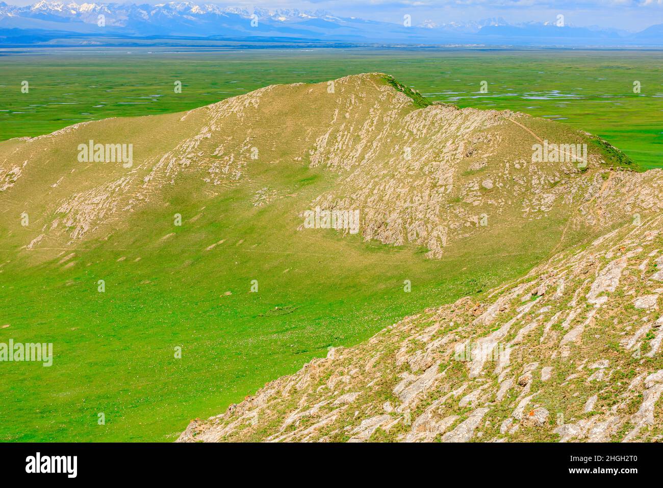 Green grassland and mountain natural landscape in Xinjiang,China Stock ...