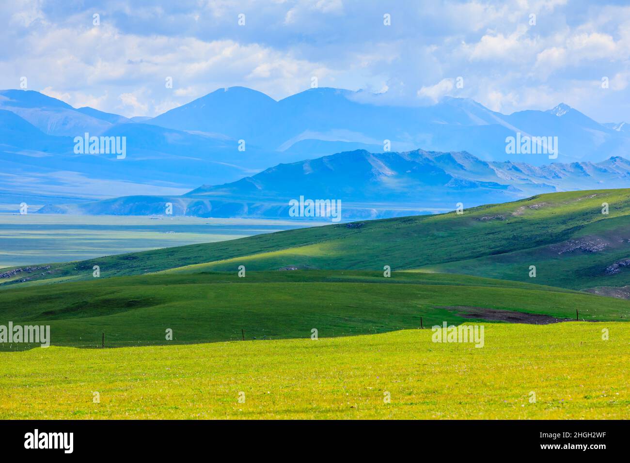 Green grassland natural scenery in Xinjiang,China.Wide grassland and ...