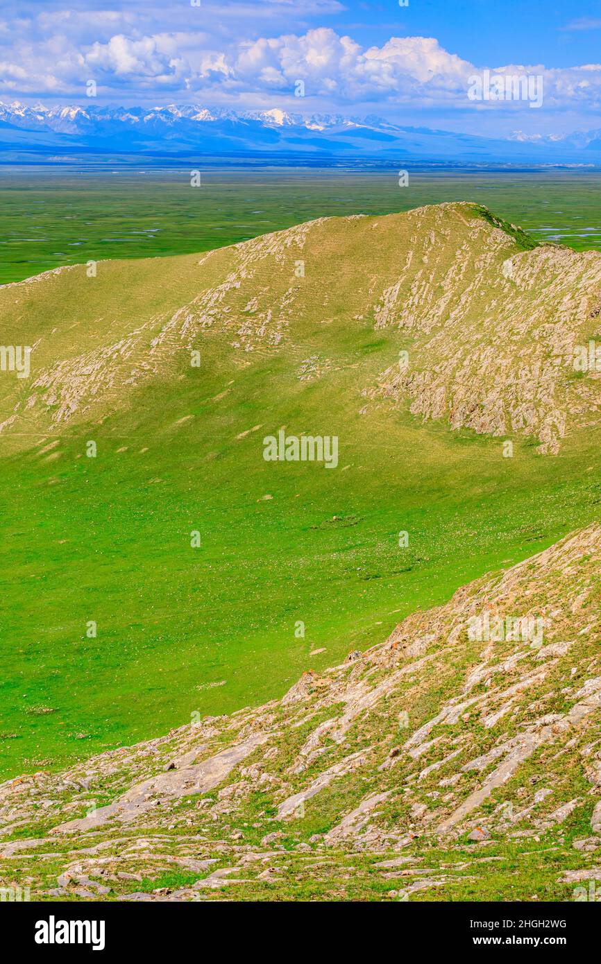 Xinjiang texture hi-res stock photography and images - Alamy