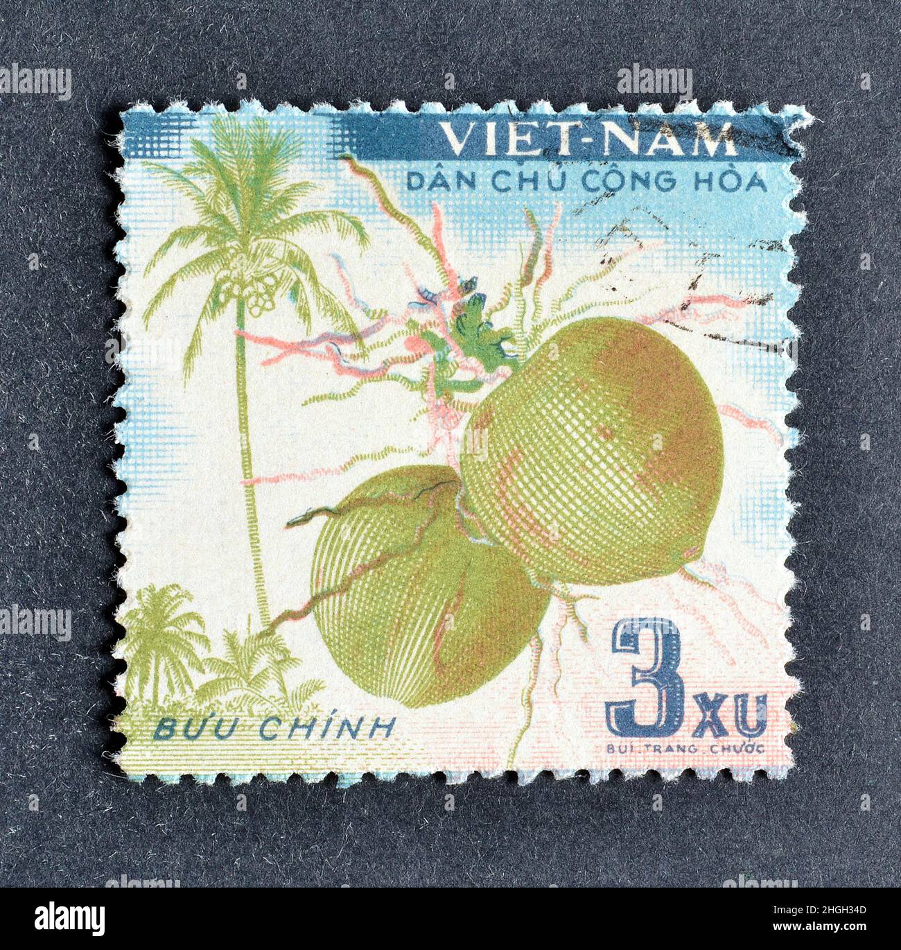 Cancelled postage stamp printed by Vietnam, that shows Coconuts, circa ...