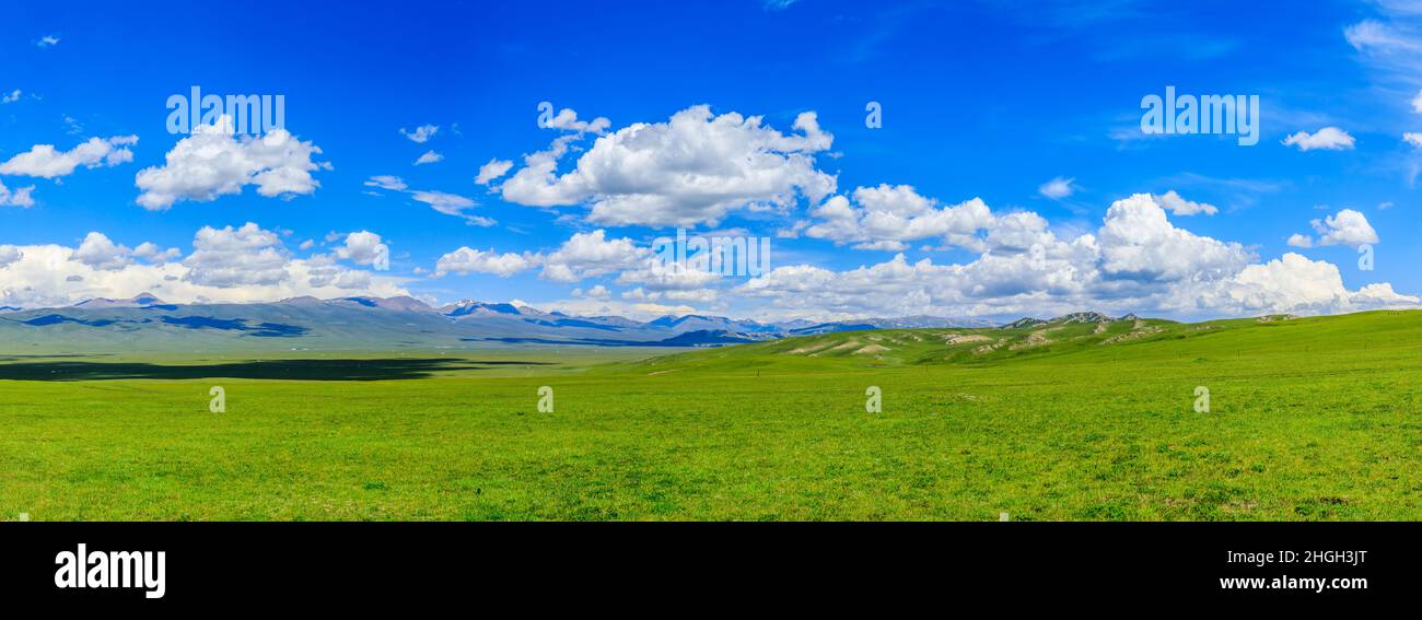 Green grassland natural scenery in Xinjiang,China.Wide grassland and ...
