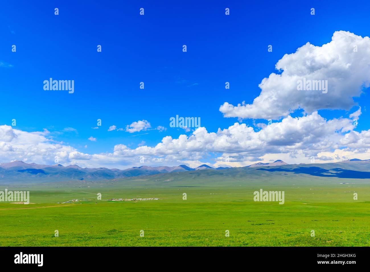 Green grassland natural scenery in Xinjiang,China.Wide grassland and ...