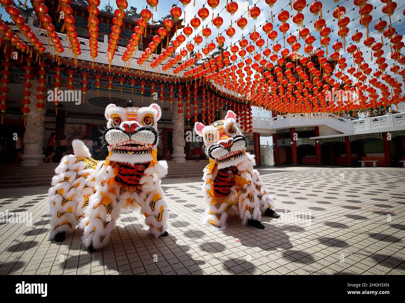 People dressed in costumes perform a traditional tiger dance at a ...