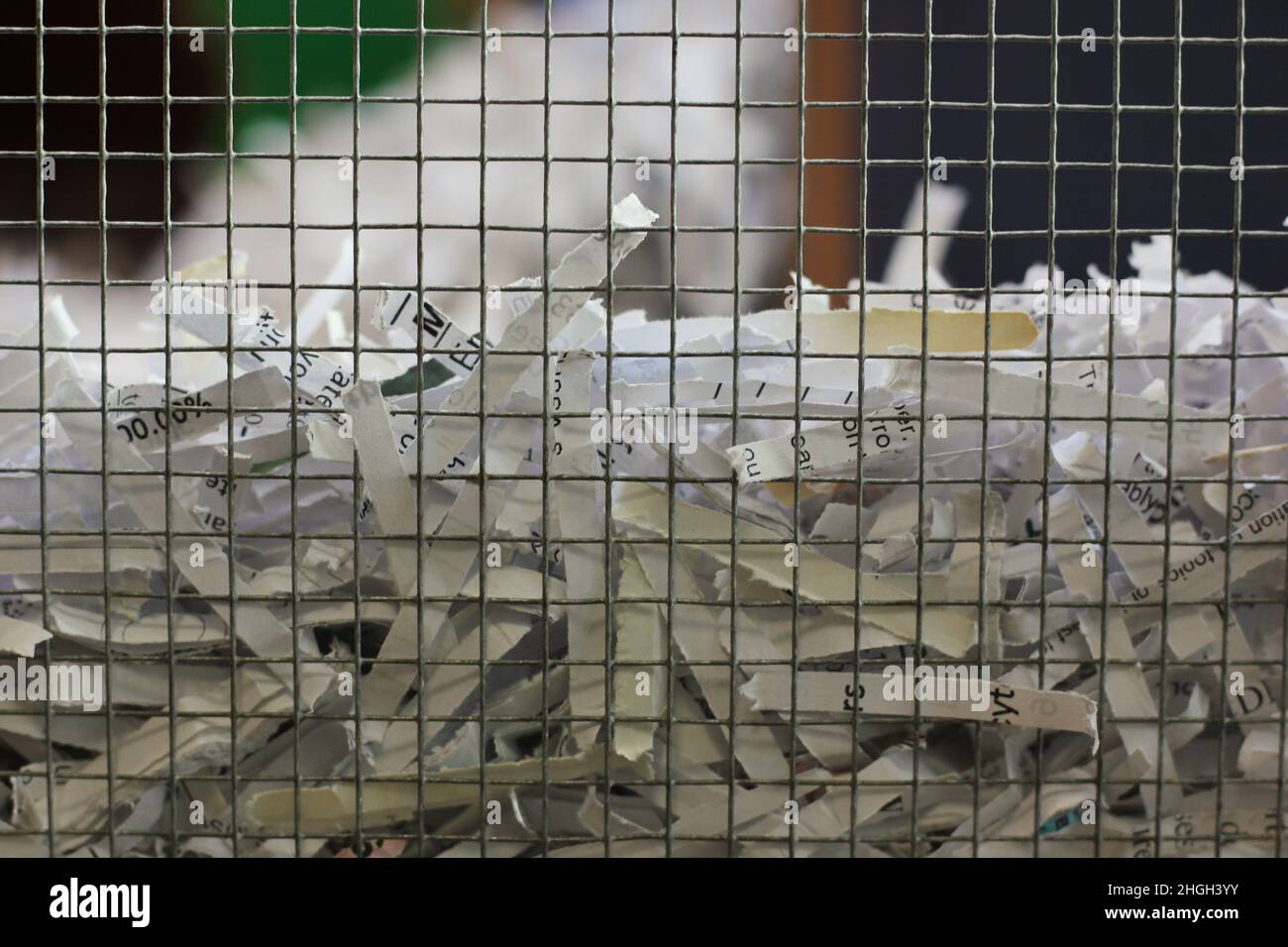 Shredded paper and confidential documents recycled as bedding in the ...