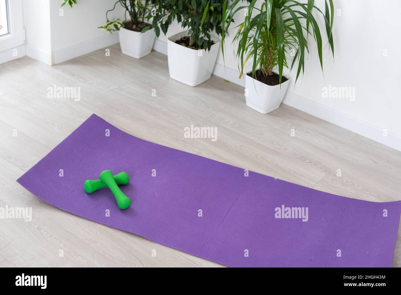 Training at home concept, mat style Stock Photo - Alamy