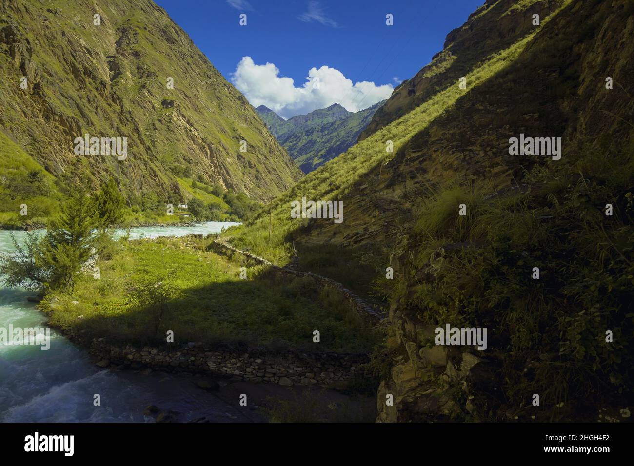 Bone images hi-res stock photography and images - Alamy