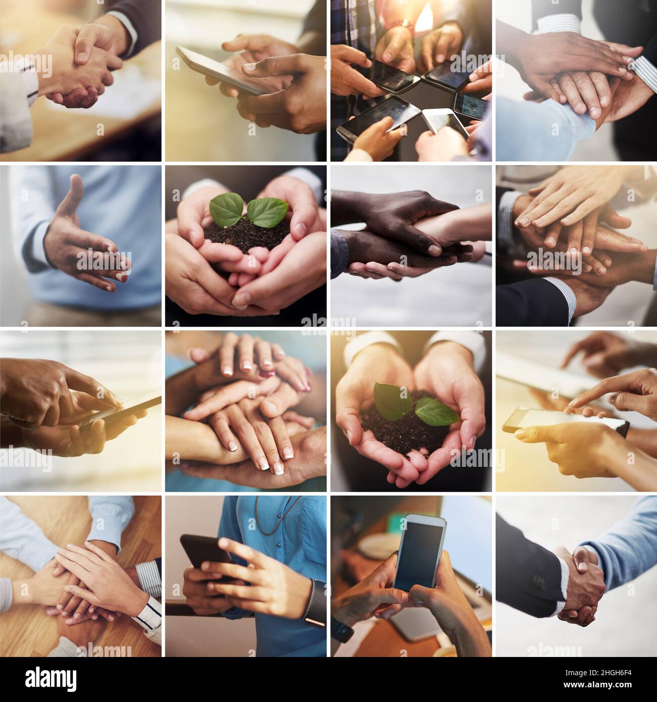 All in our hands. Composite image of a diverse group of people's hands ...