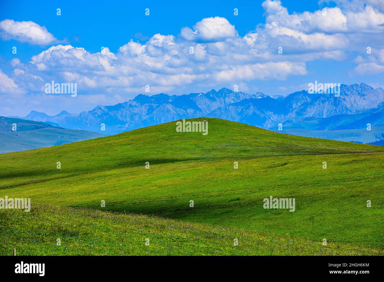 Green grass and mountain with blue sky background.Green grassland ...