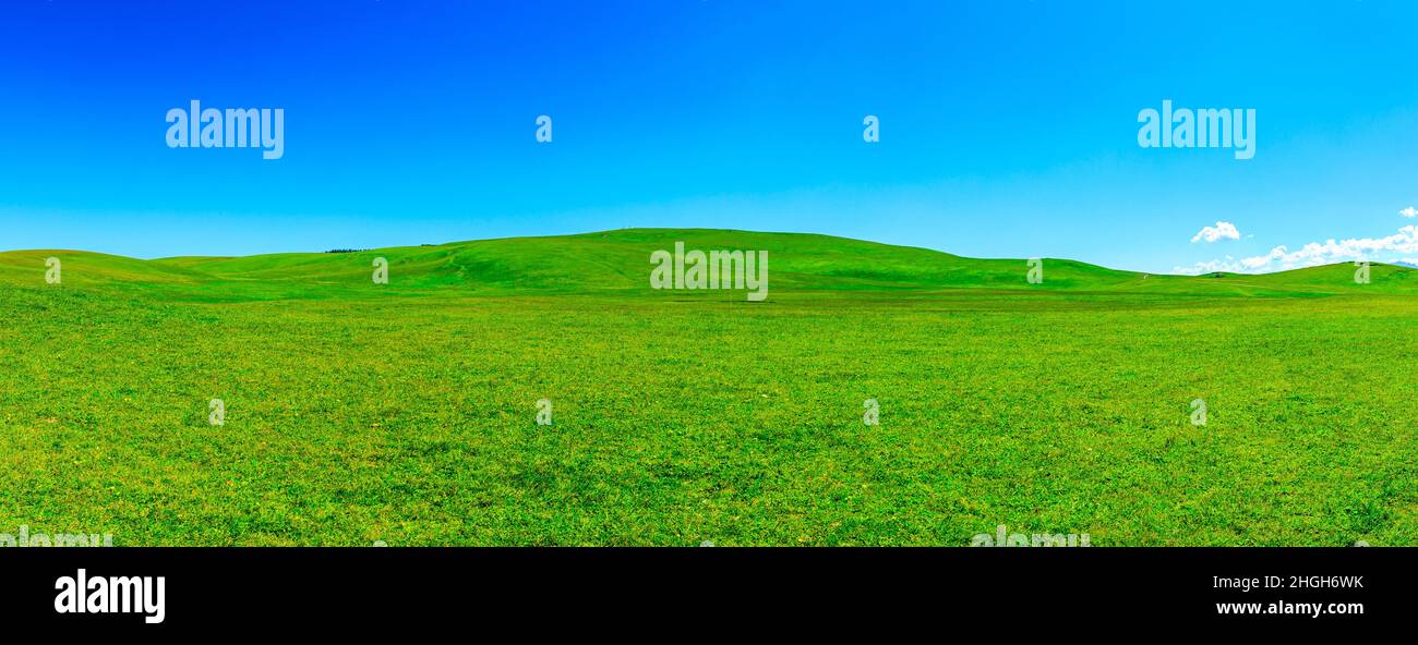 Green grass field with blue sky background.Green grassland landscape in ...