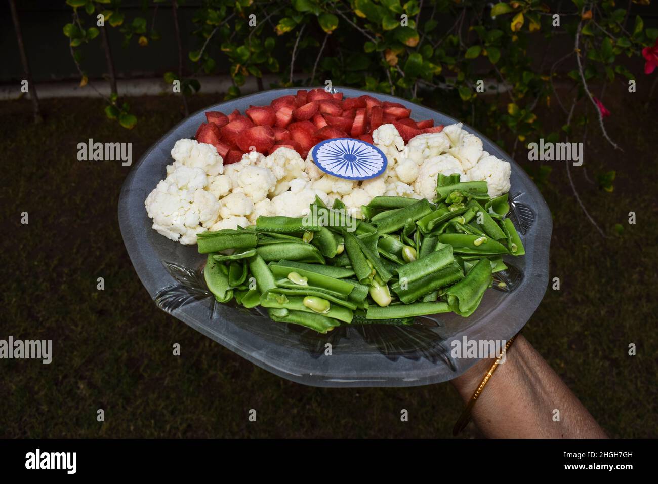Republic day of India Food. Independence day of India food. Raw ...