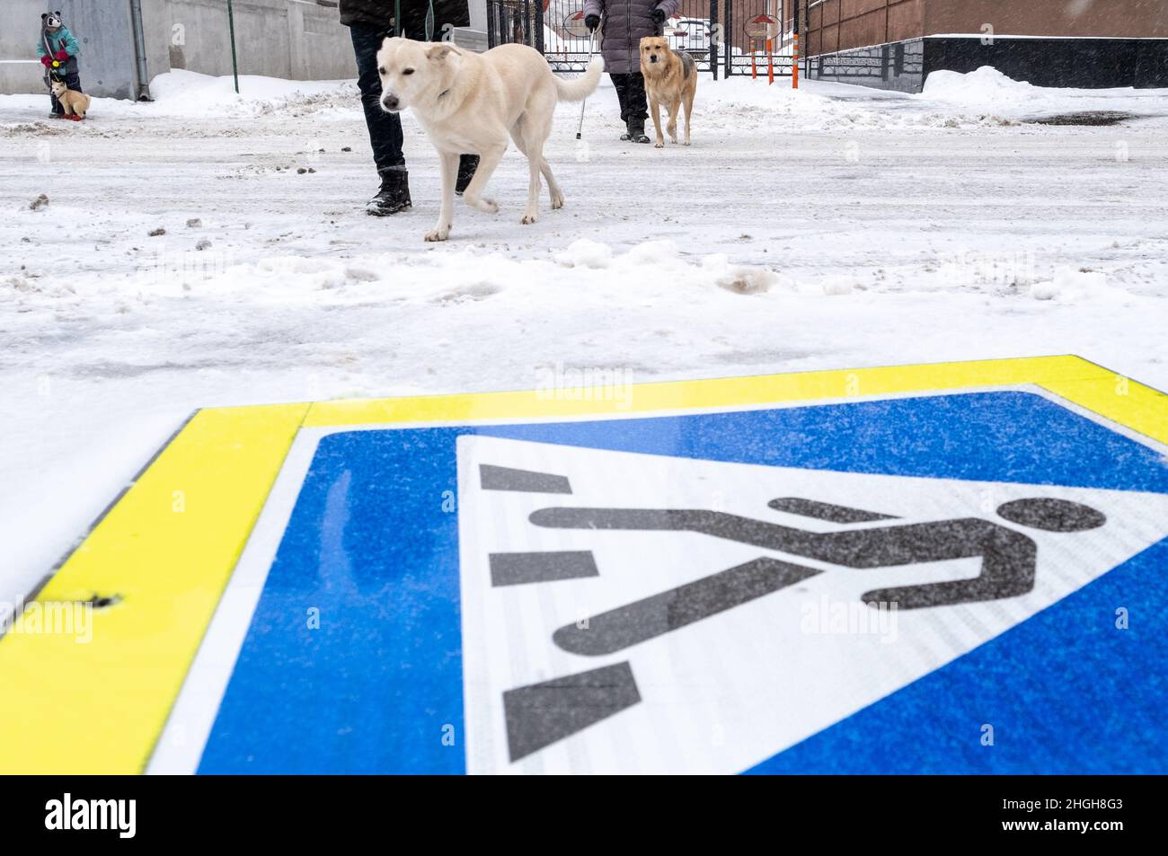 Street dogs moscow hi-res stock photography and images - Alamy