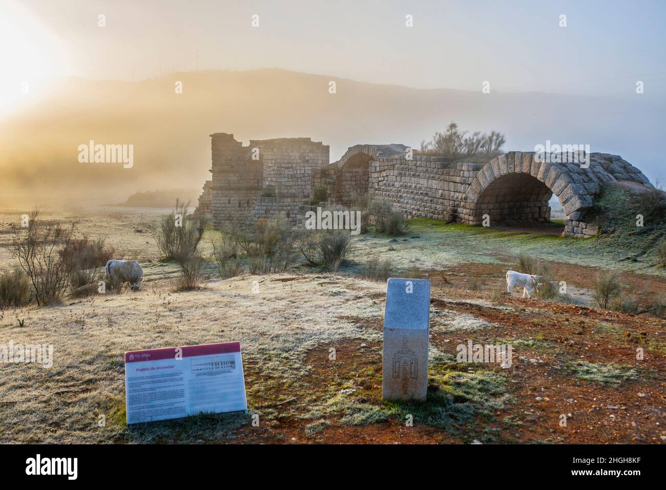 Alconetar Bridge remanis a fog winter rising, Caceres, Spain. Segmental ...