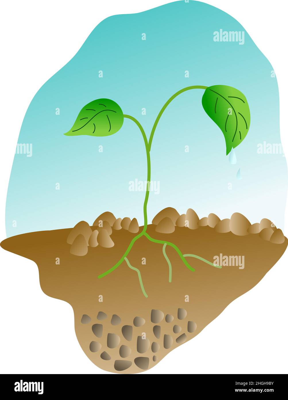 The growing stone Cut Out Stock Images & Pictures - Alamy