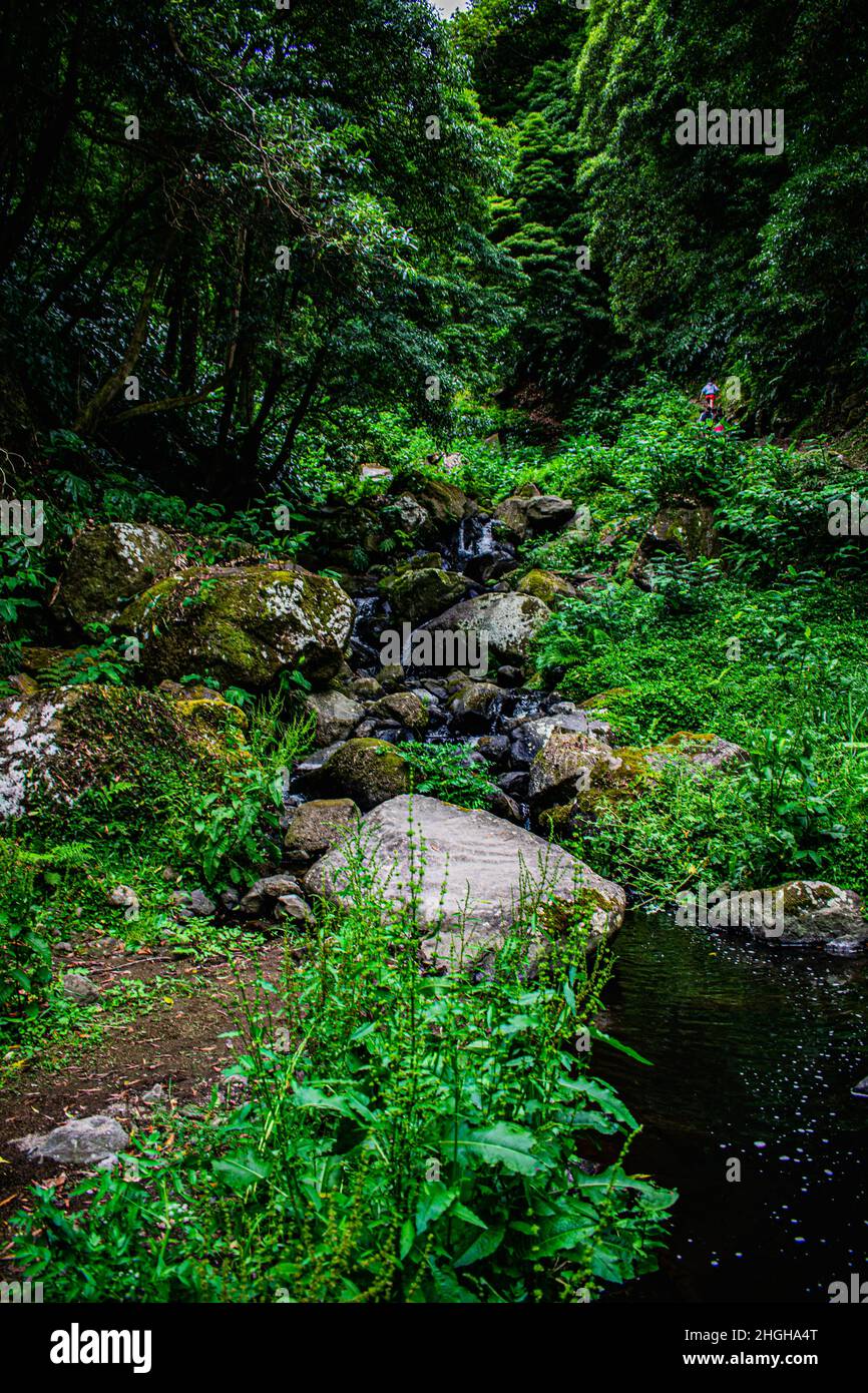 Water making it's way through the mountain Stock Photo - Alamy