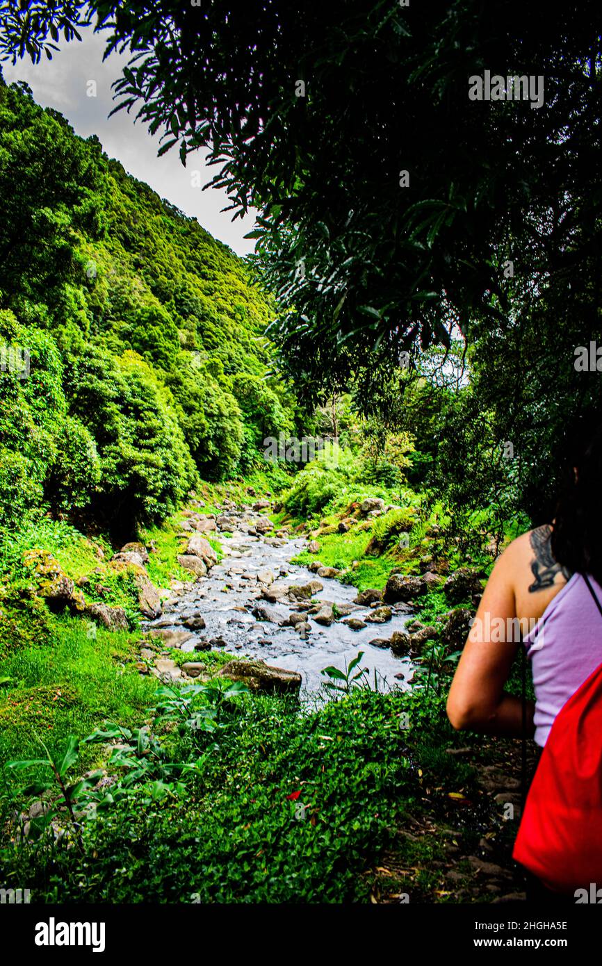 Modeling in the natural beauty on the mountain in the forest Stock ...