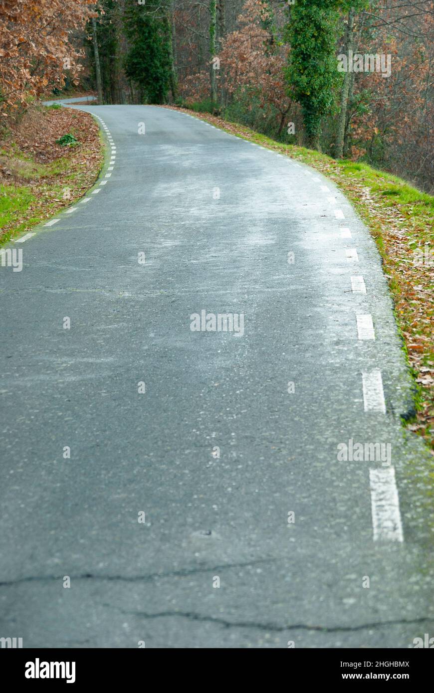 Mountain road with uneven pavement in autumn Stock Photo - Alamy