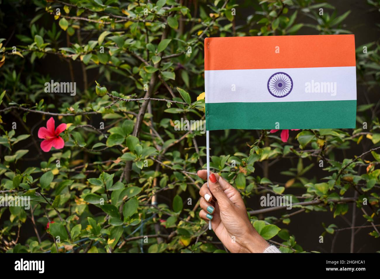 Jhanda vandan hi-res stock photography and images - Alamy