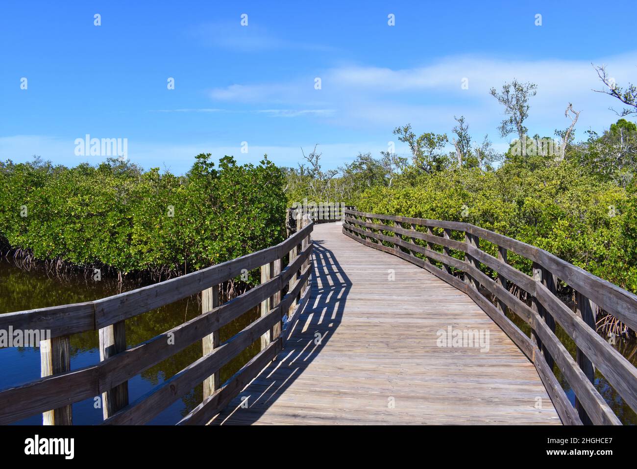 Wooden walkway on pathway through Emerson Point Preserve in Palmetto ...