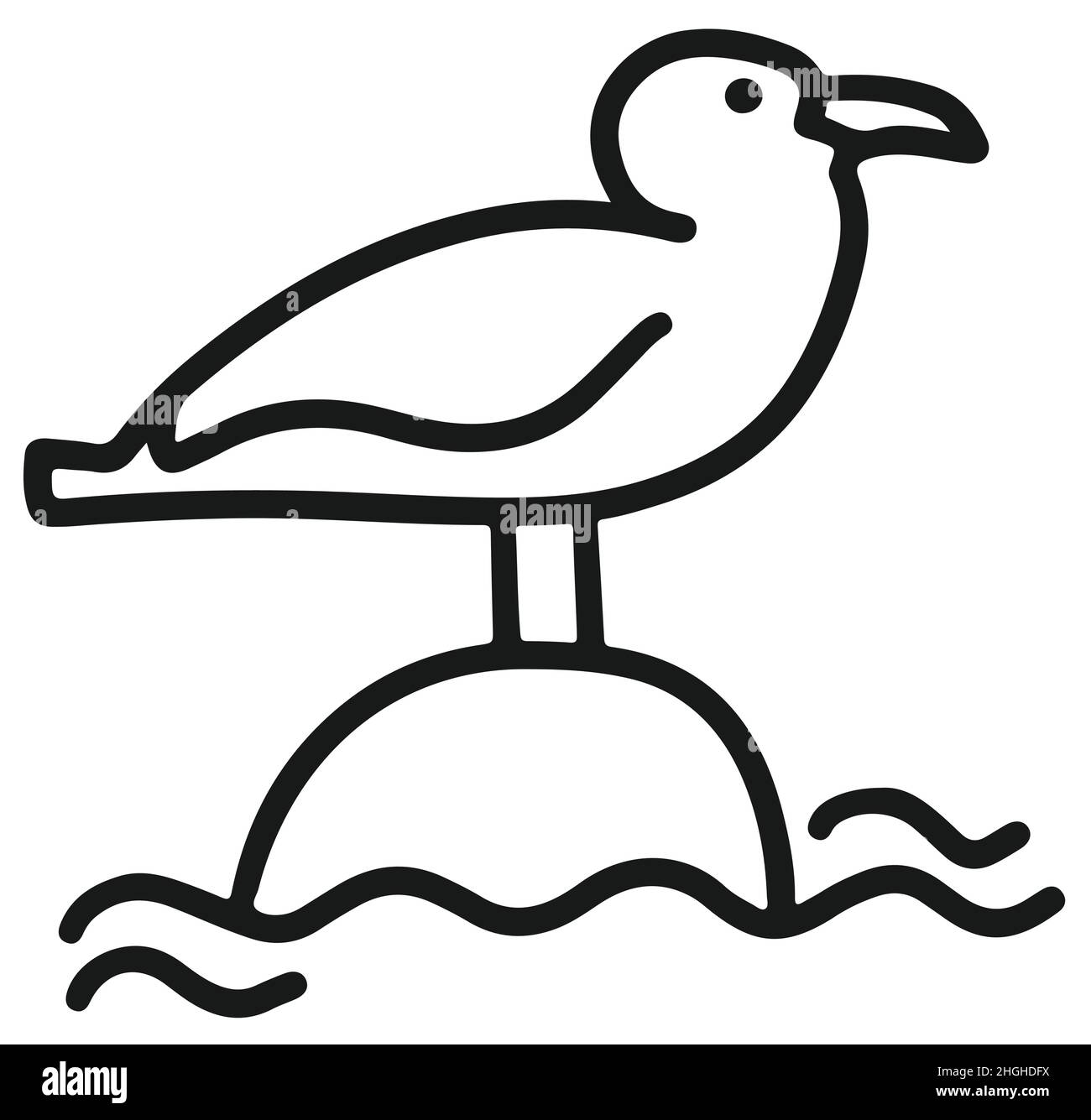 Gull Drawing