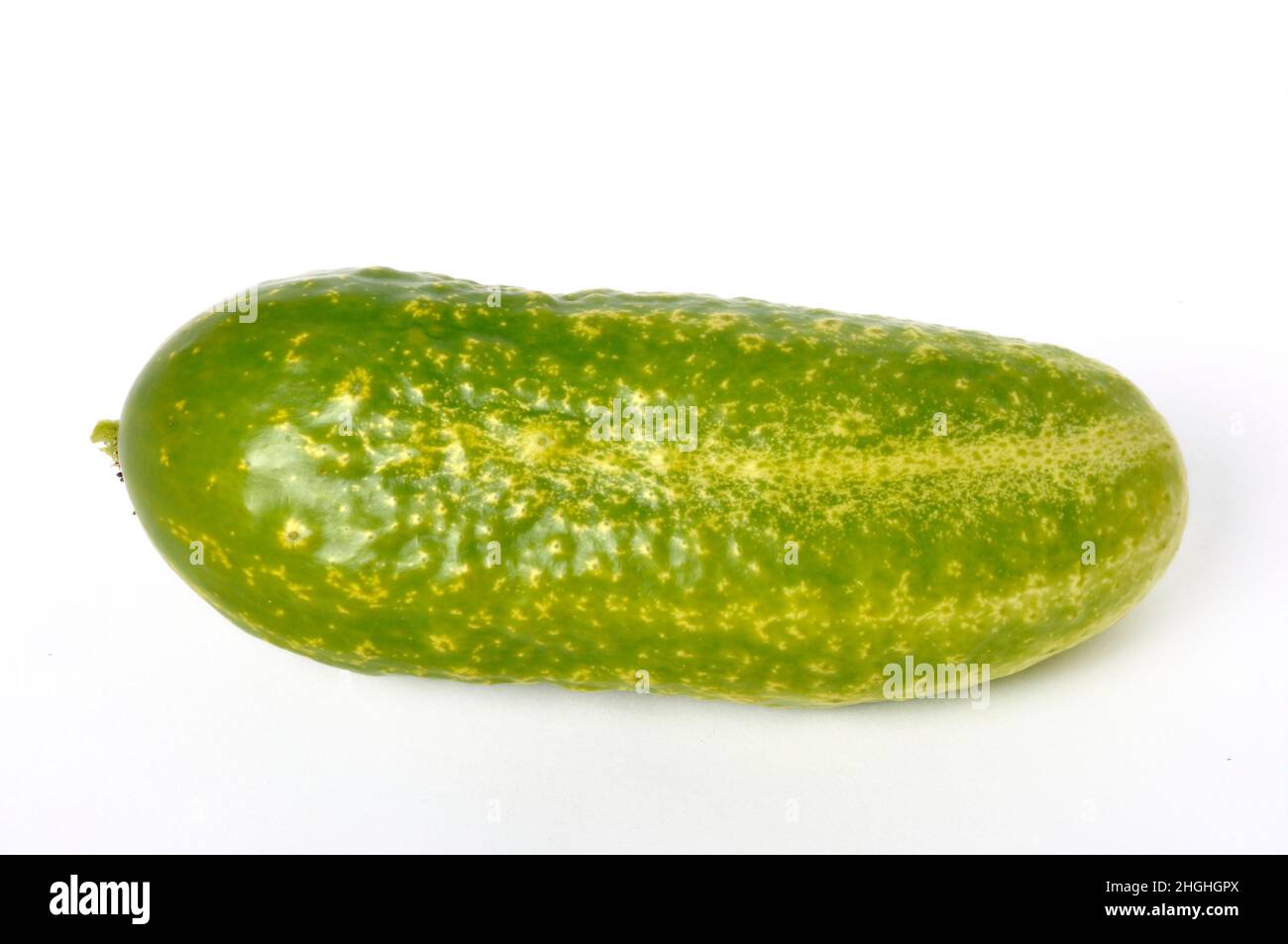 Small cucumber on a white background Stock Photo - Alamy