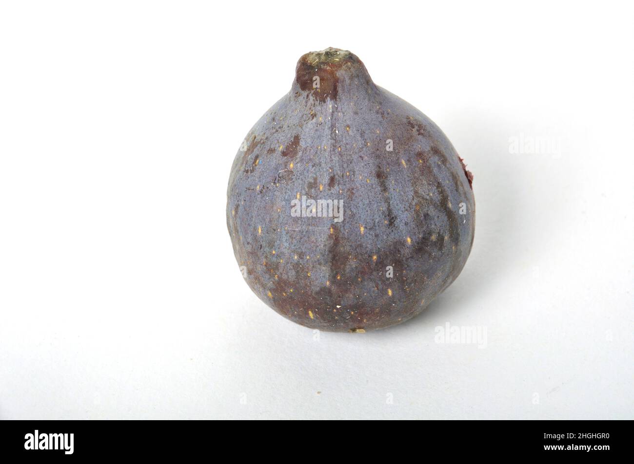 Spanish figs on a white background Stock Photo - Alamy