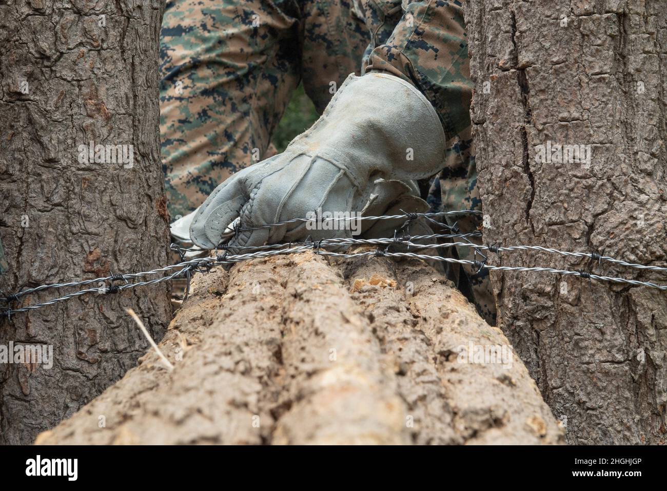210804-N-UM222-0035 SATTAHIP, Thailand (Aug. 4, 2021)- U.S. Marines and ...