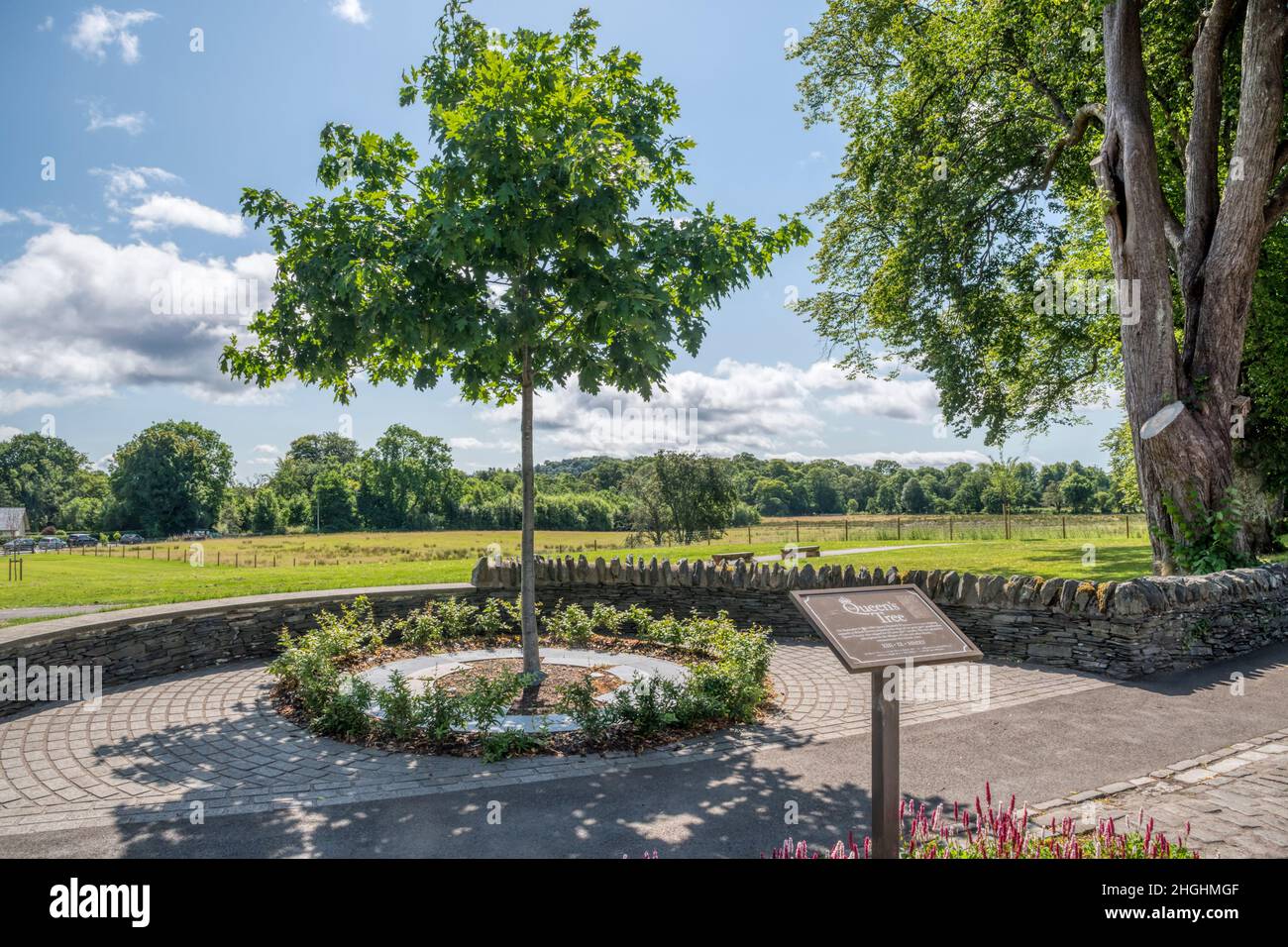 The Queen's Tree, planted at Luss in September 2005, commemorates the ...