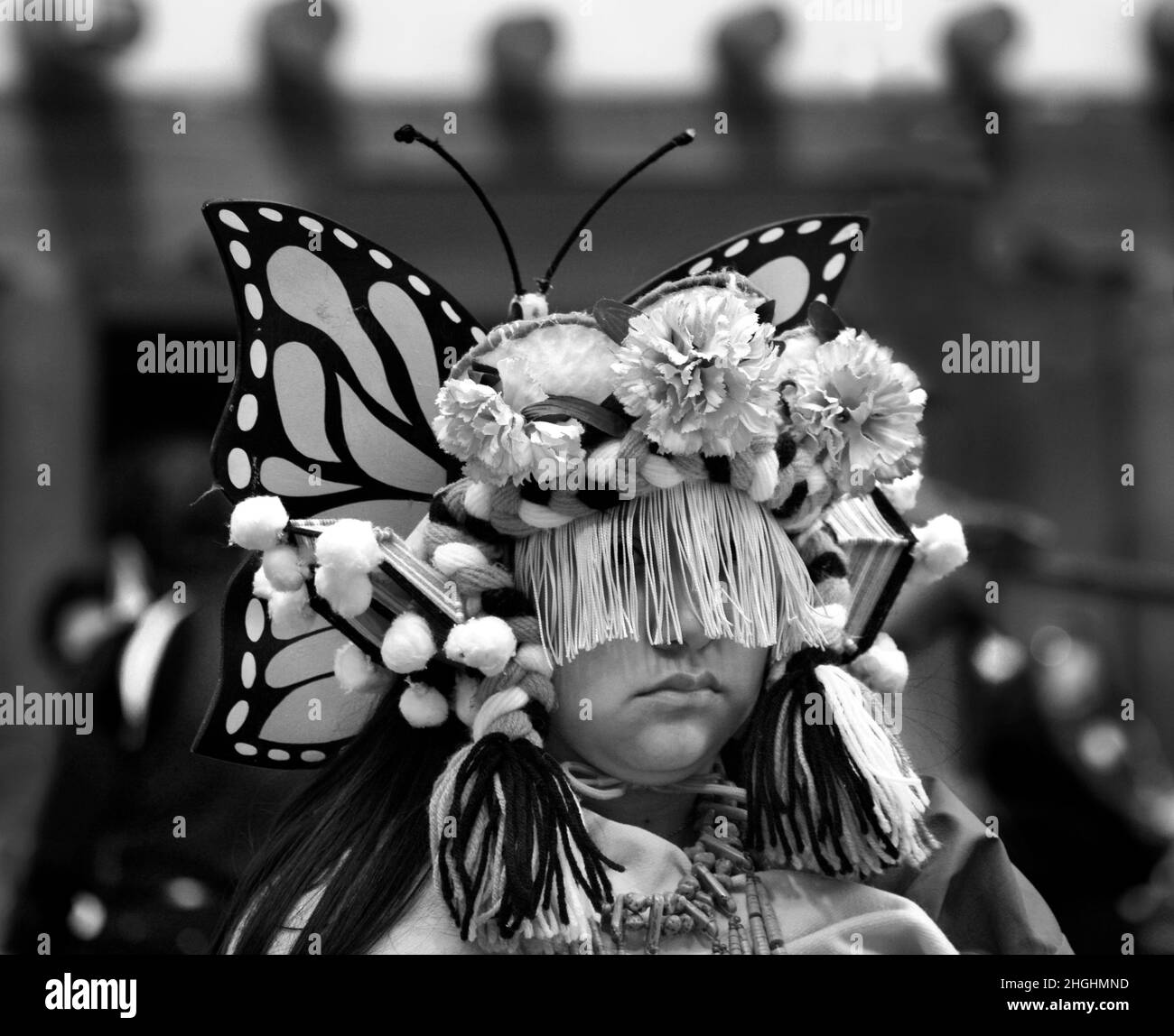Indian butterfly Black and White Stock Photos & Images - Alamy