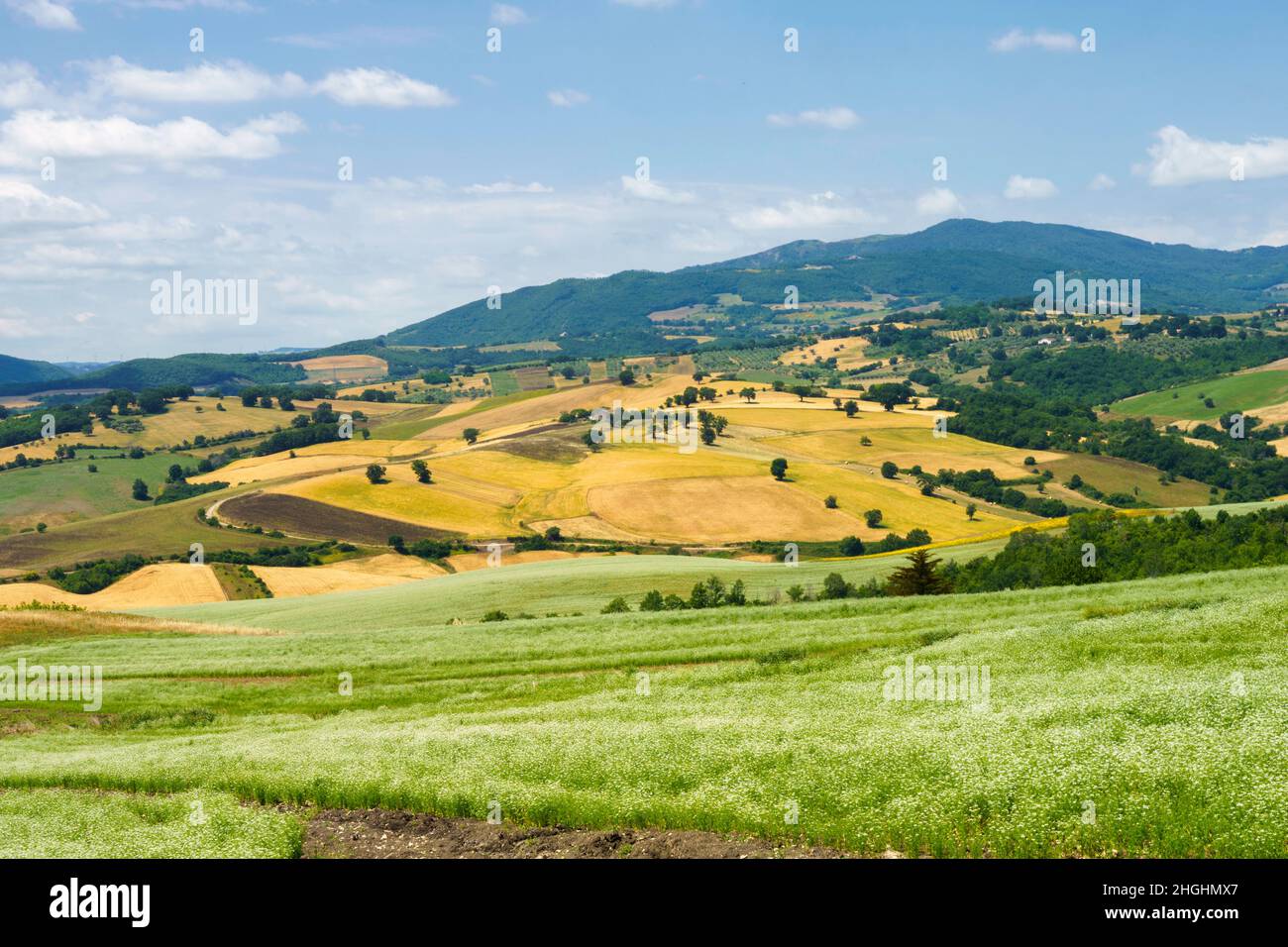 Landscape in Campobasso province, Molise, Italy, along the road to ...
