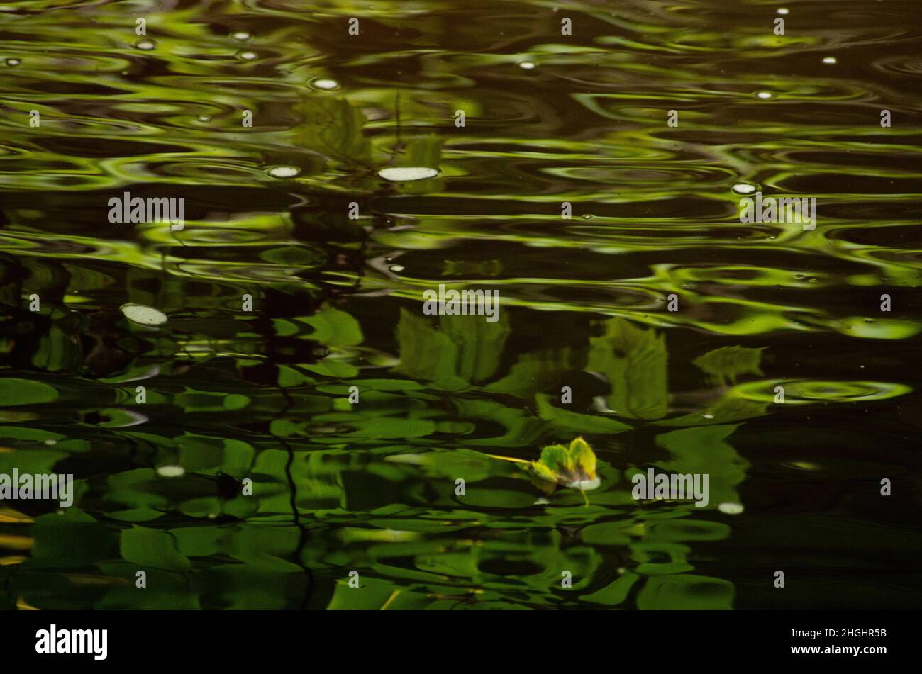 Green reflections hi-res stock photography and images - Alamy
