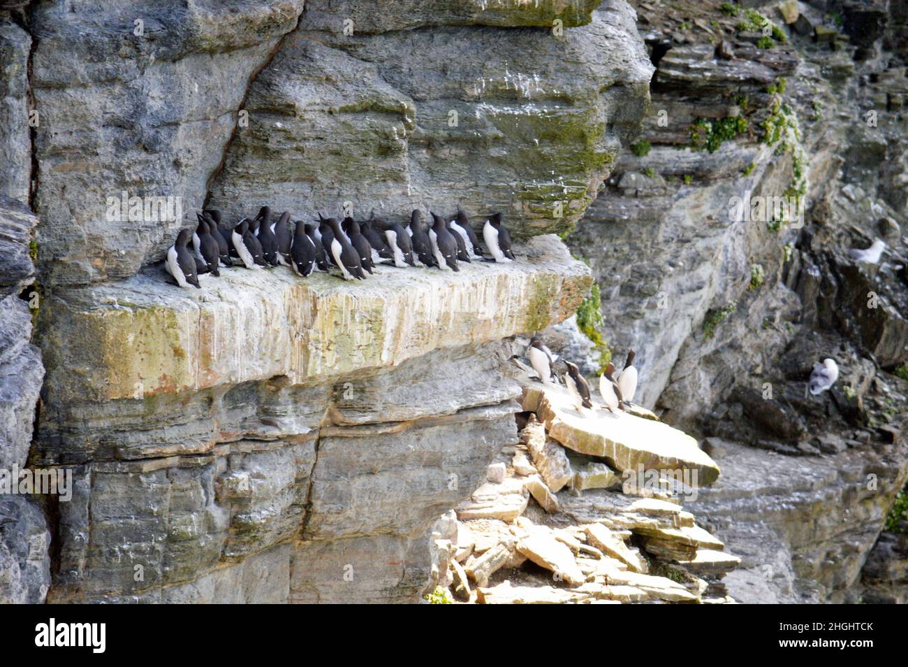 Marwick reserve hi-res stock photography and images - Alamy
