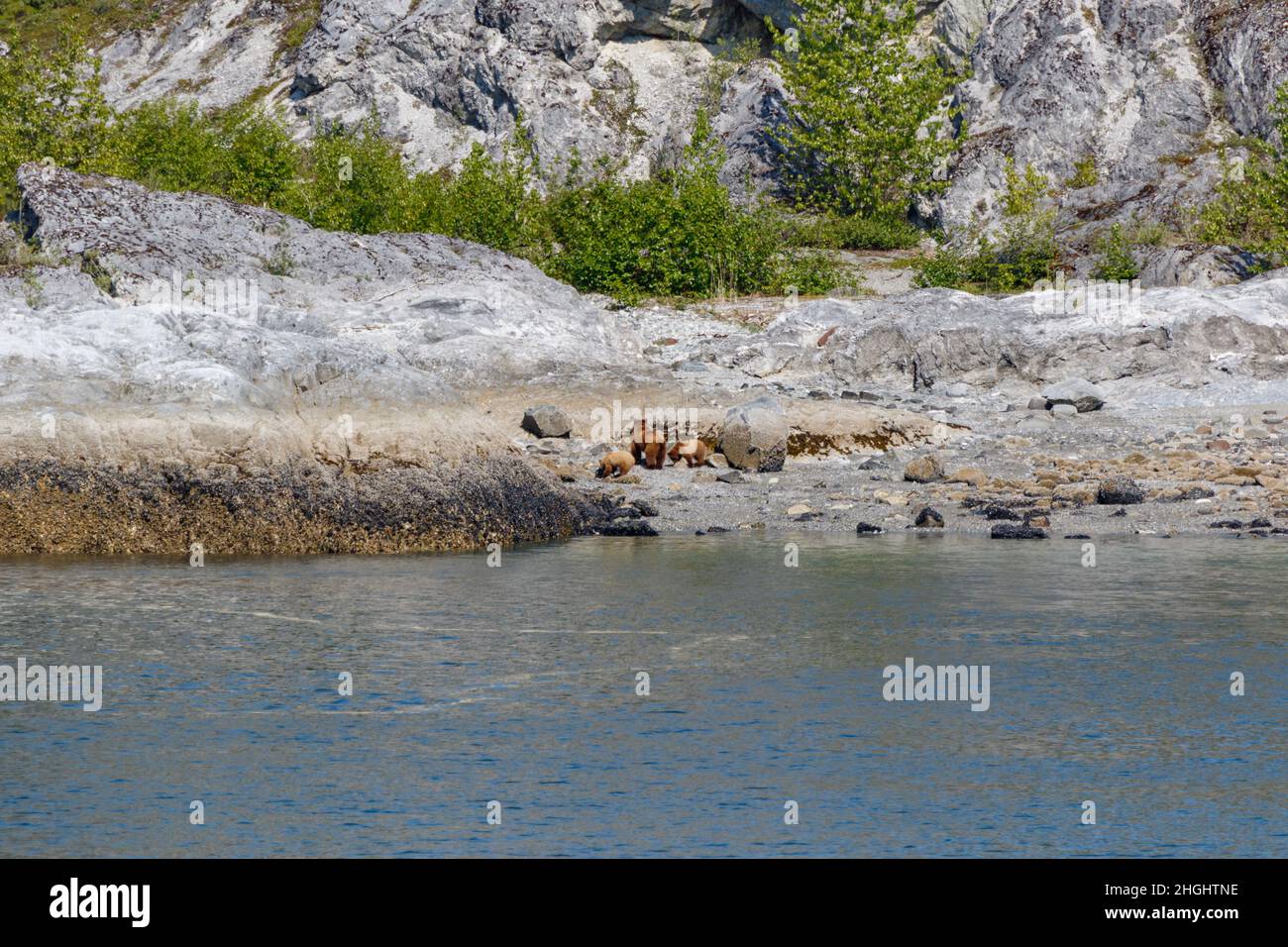 Hoonah Angoon High Resolution Stock Photography and Images - Alamy
