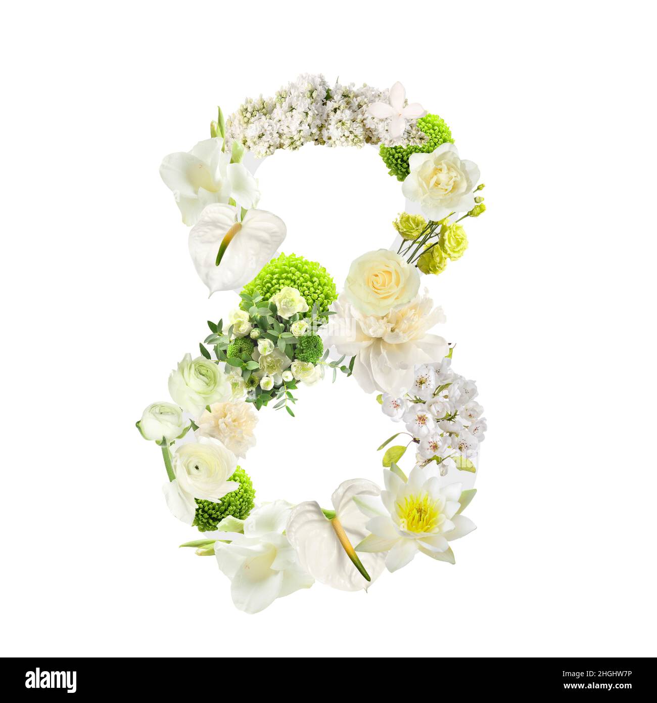 Figure 8 made of beautiful flowers on white background Stock Photo - Alamy