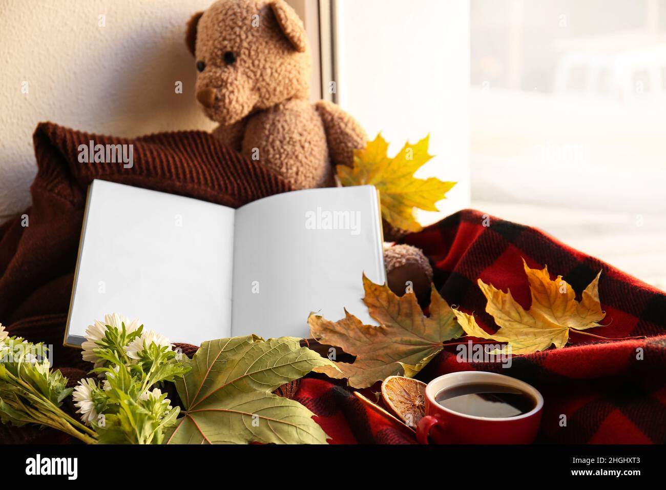 Teddy reading story book hi-res stock photography and images - Alamy