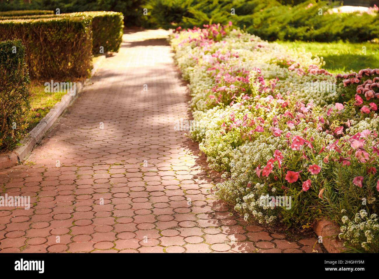 Pathway by flowers panoramic hi-res stock photography and images - Alamy